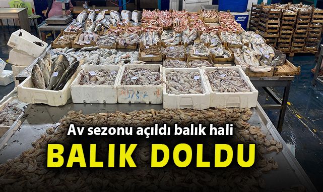 Av sezonu açıldı balık hali balıkla doldu - Gündem - Öncü Şehir Gazetesi Av sezonu açıldı balık hali balıkla doldu - Gündem - Öncü Şehir Gazetesi